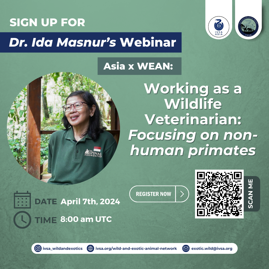 Available Opportunities | International Veterinary Students Association